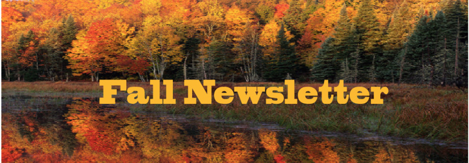 Hillside Public Library — Check out the possibilities